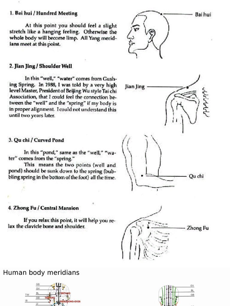 Chinese Meridians Book | PDF | Language Arts & Discipline