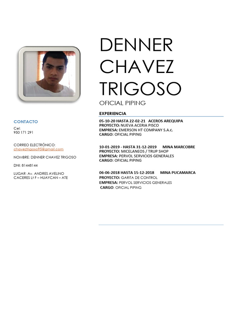 C.V. Denner Chavez | PDF | Business | Ingeniería