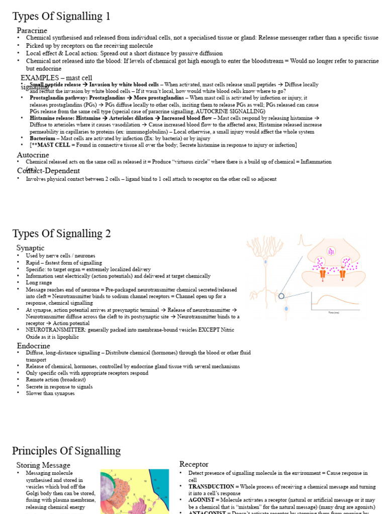 Cell Signalling | PDF | Cell Signaling | Chemical Synapse