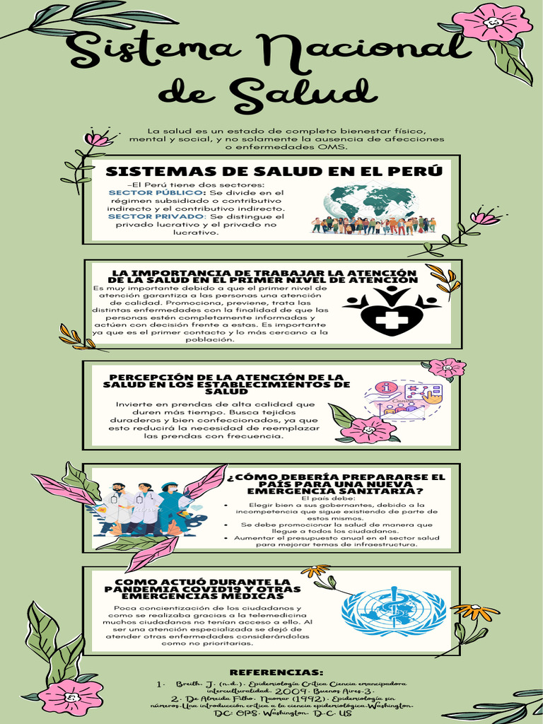 Infografía SISTEMA DE SALUD | PDF | Ciencias de la Salud | Salud pública