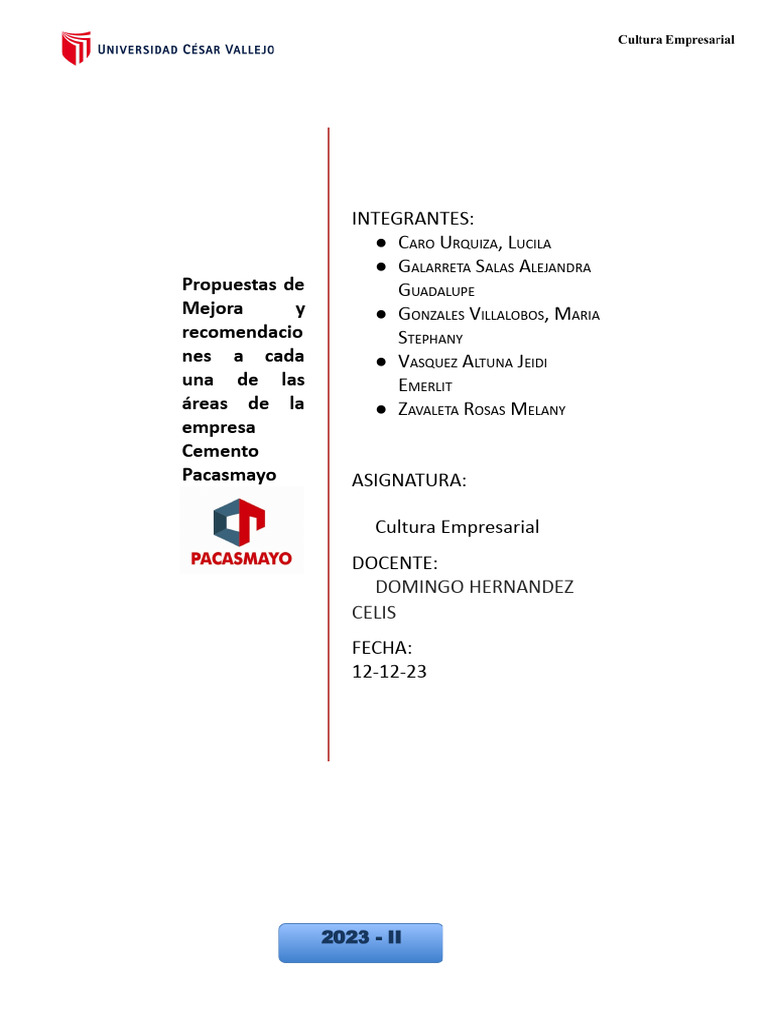 Formato de Informe Final | PDF | Business | Marketing