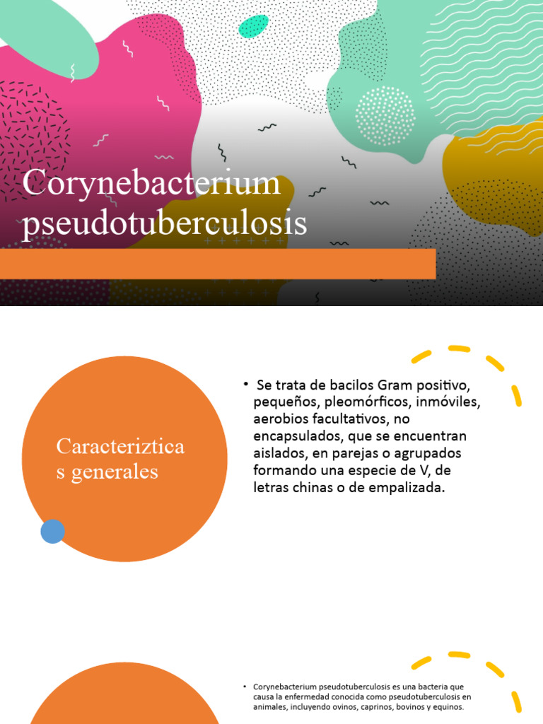 Corynebacterium pseudotuberculosis presentacion | PDF | Sistema inmune ...