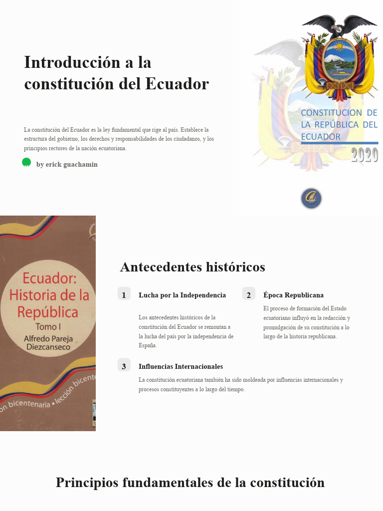 Introduccion A La Constitucion Del Ecuador | PDF | Constitución | Ecuador