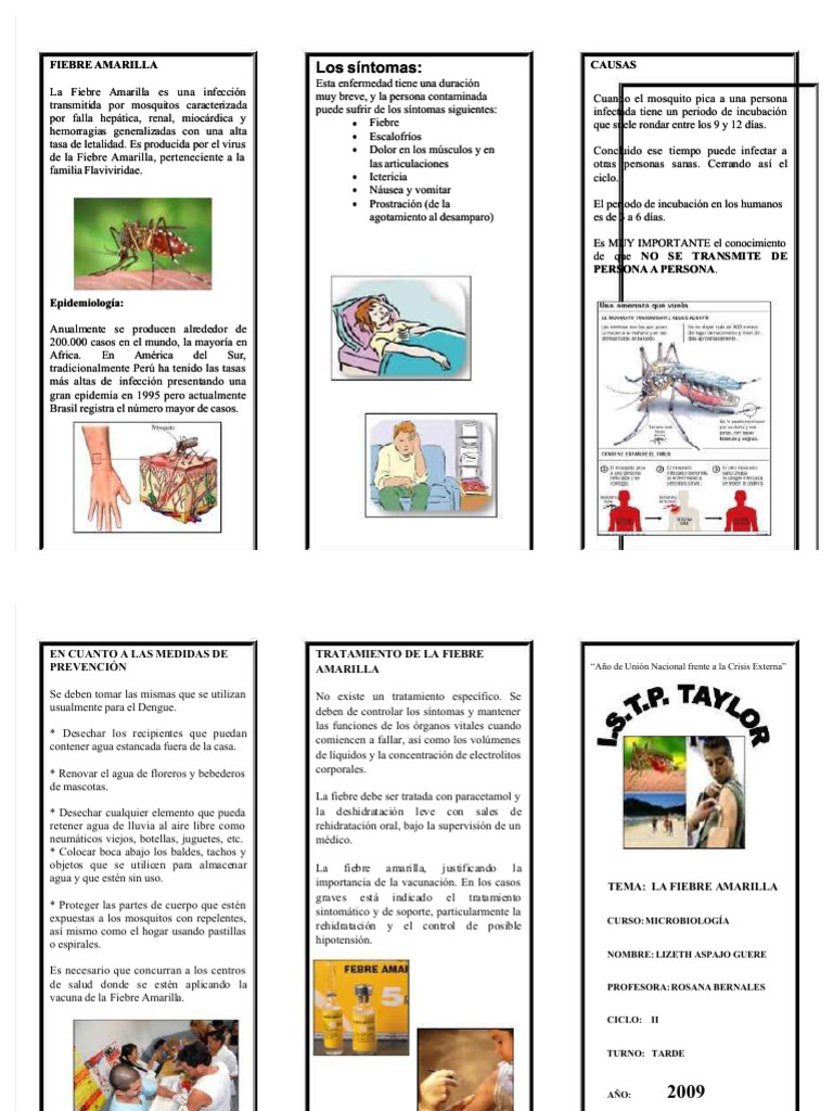 PDF Triptico de La Fiebre Amarilla - Compress | PDF | Fiebre amarilla ... PDF Triptico de La Fiebre Amarilla - Compress | PDF | Fiebre amarilla ...
