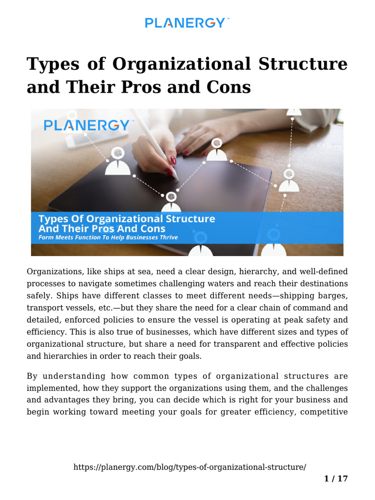 Types of Organizational Structures Explained | PDF | Organizational ...