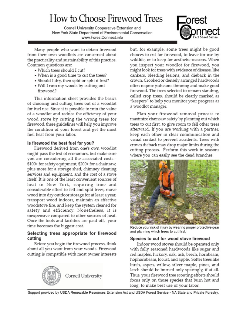 How To Choose Firewood Trees | PDF | Trees | Wood