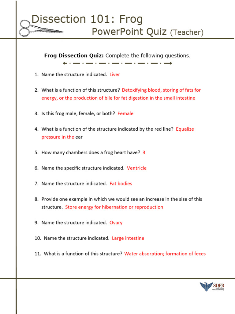 Frog Dissection Teacher Quizpr | PDF | Wellness