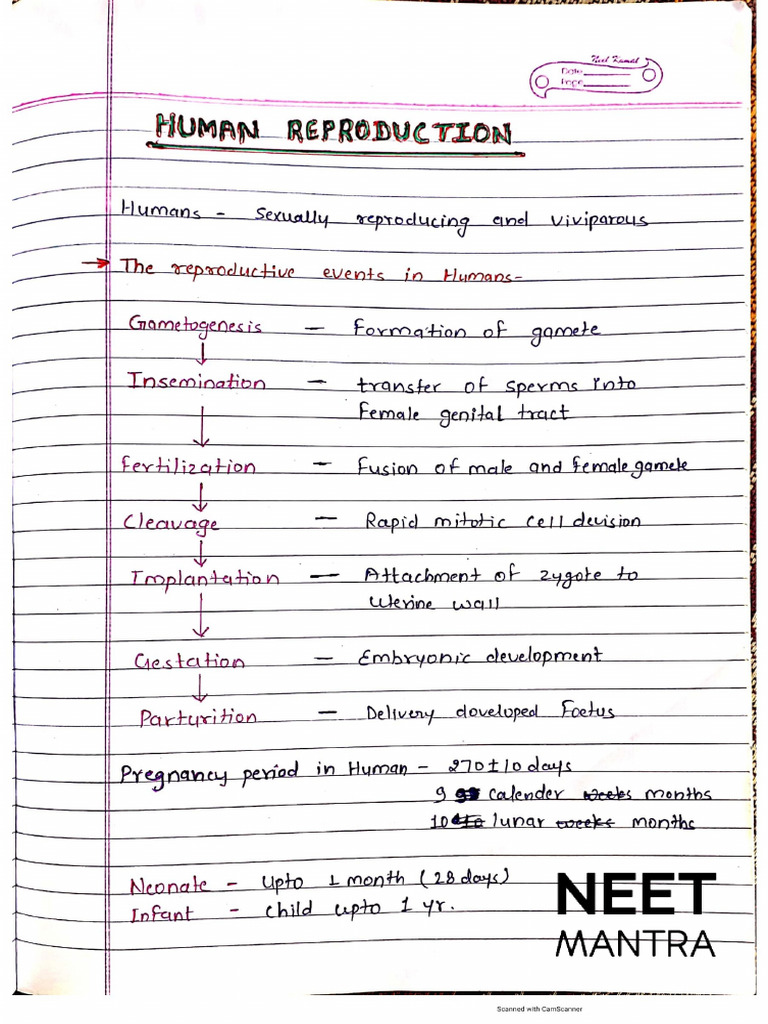 Human Reproduction | PDF