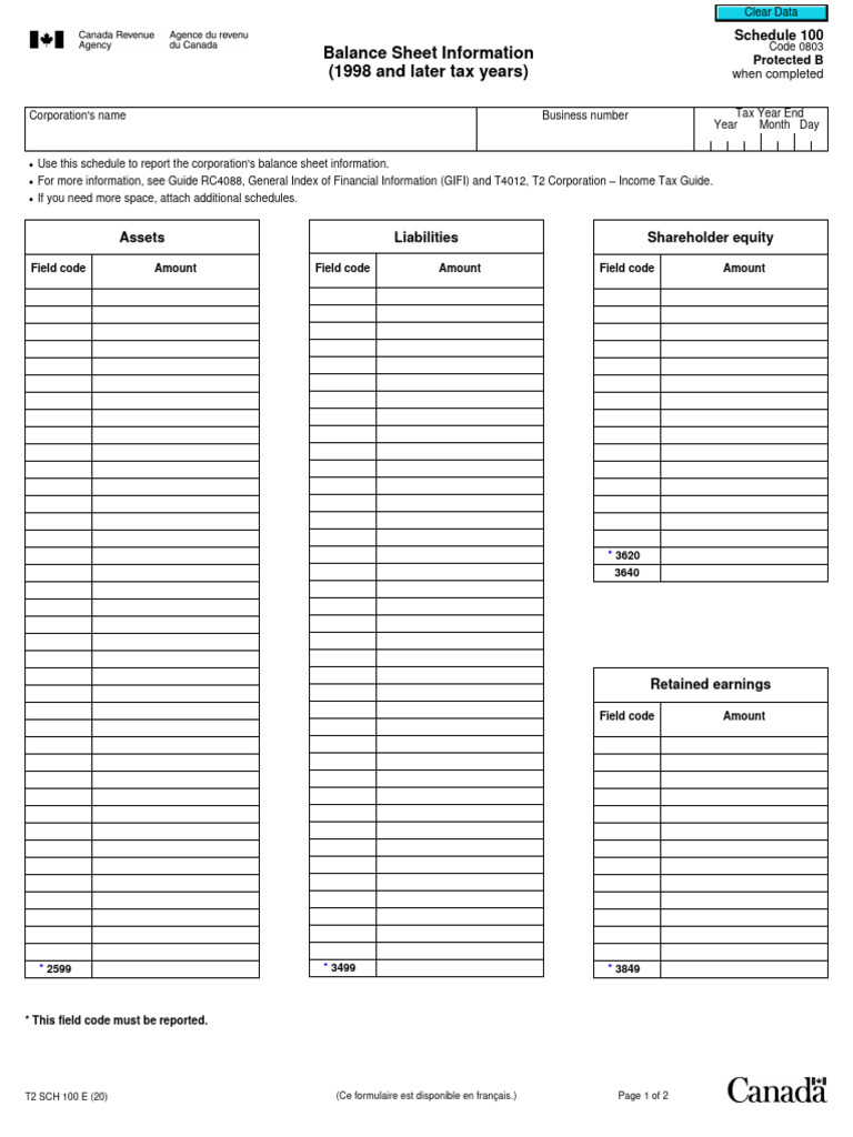 T2sch100-Fill-20e - Balance Sheet Information | PDF | Retained Earnings ...