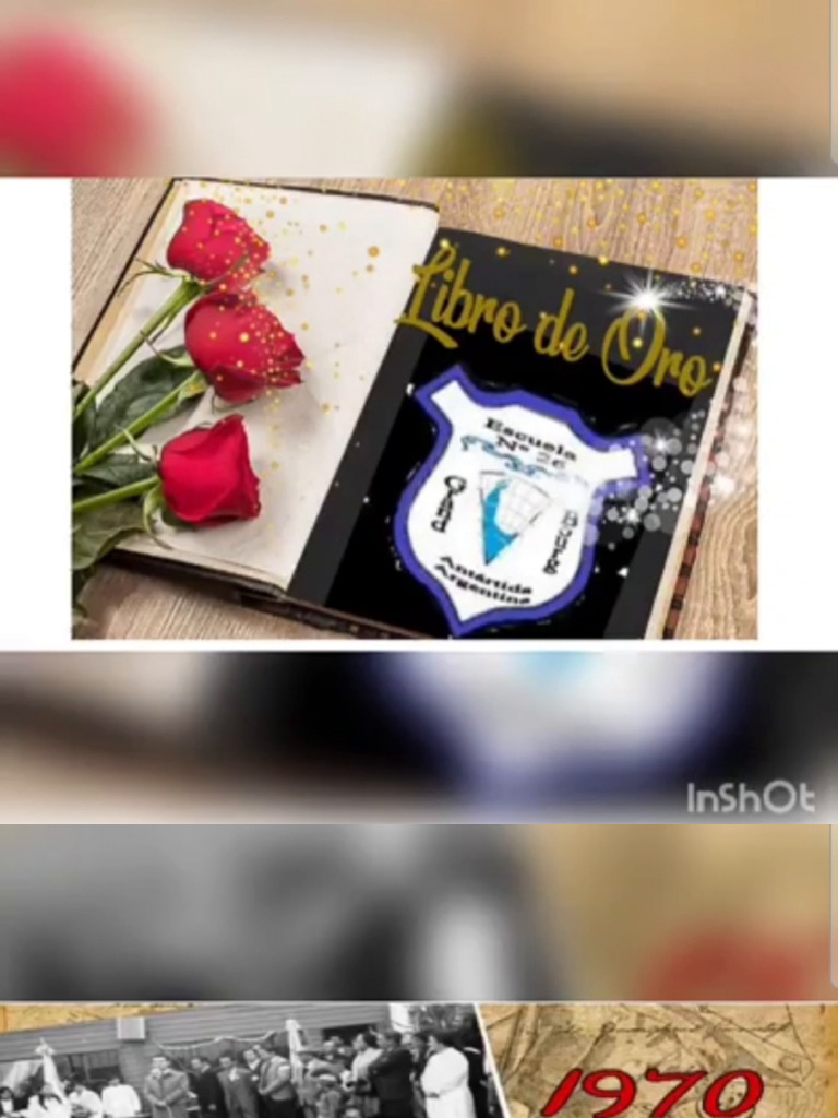 Libro de Oro | PDF