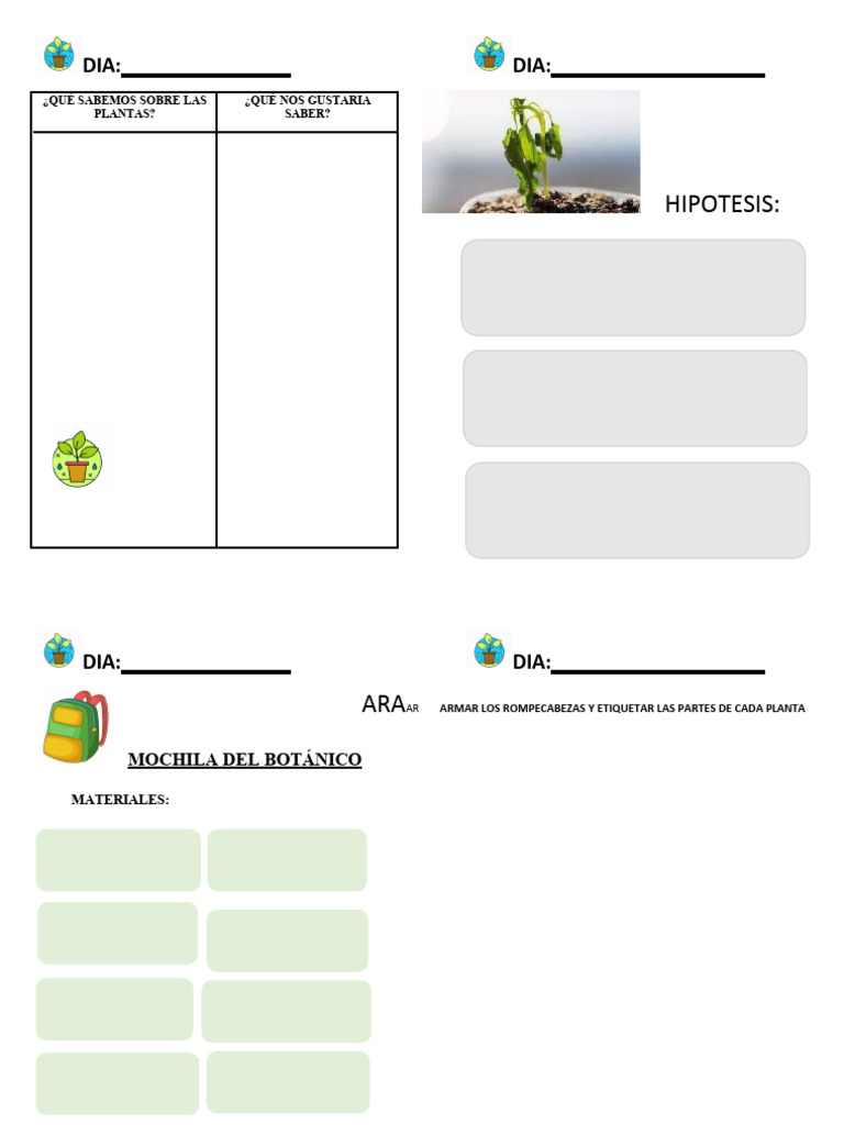 Libreta Plantas | PDF