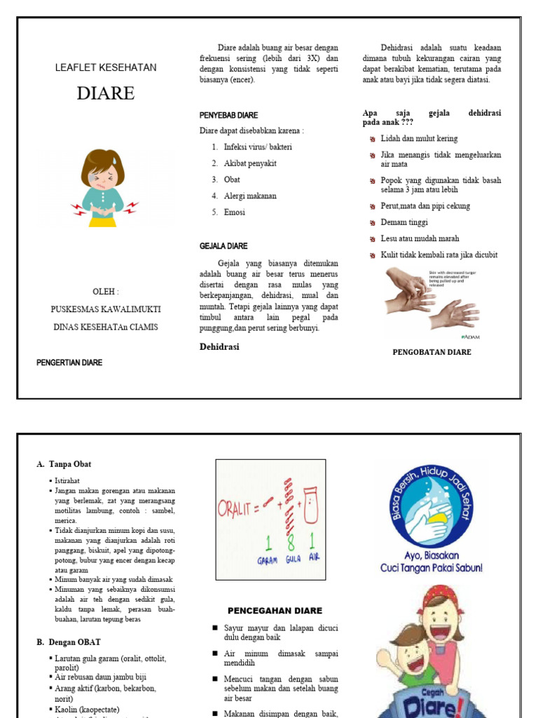 Leaflet Diare | PDF