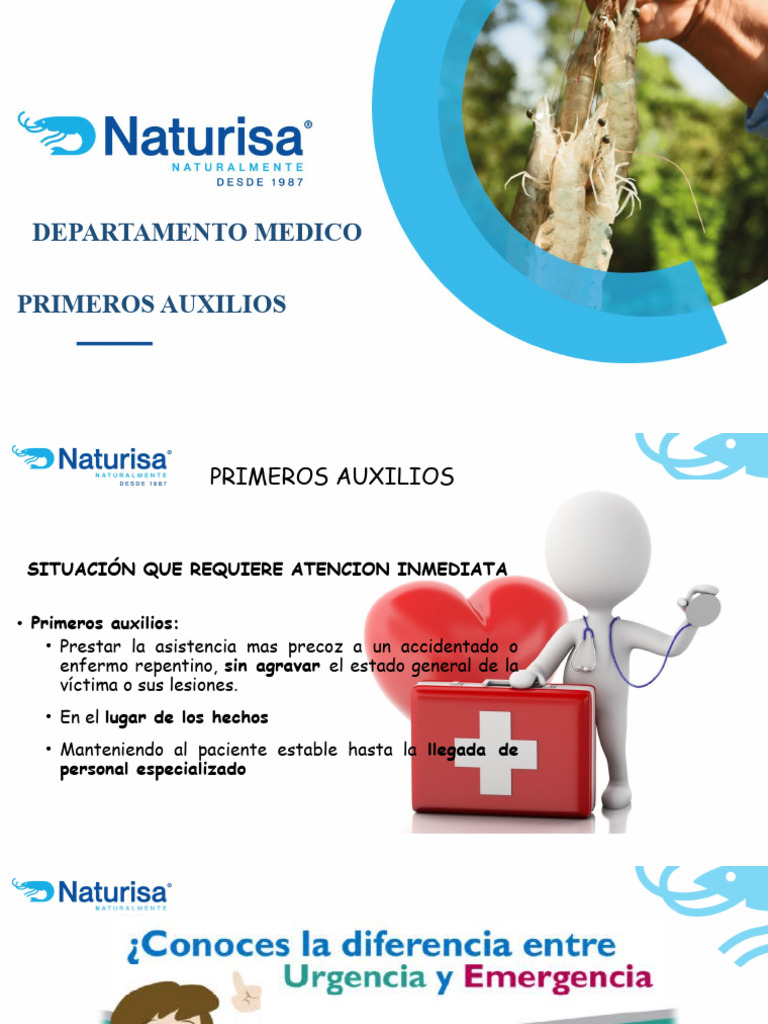 PRIMEROS AUXILIOS | PDF | Reanimación cardiopulmonar | Primeros auxilios