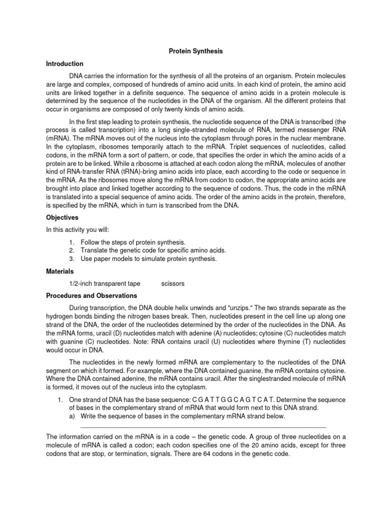 Protein Synthesis | PDF | Translation (Biology) | Messenger Rna