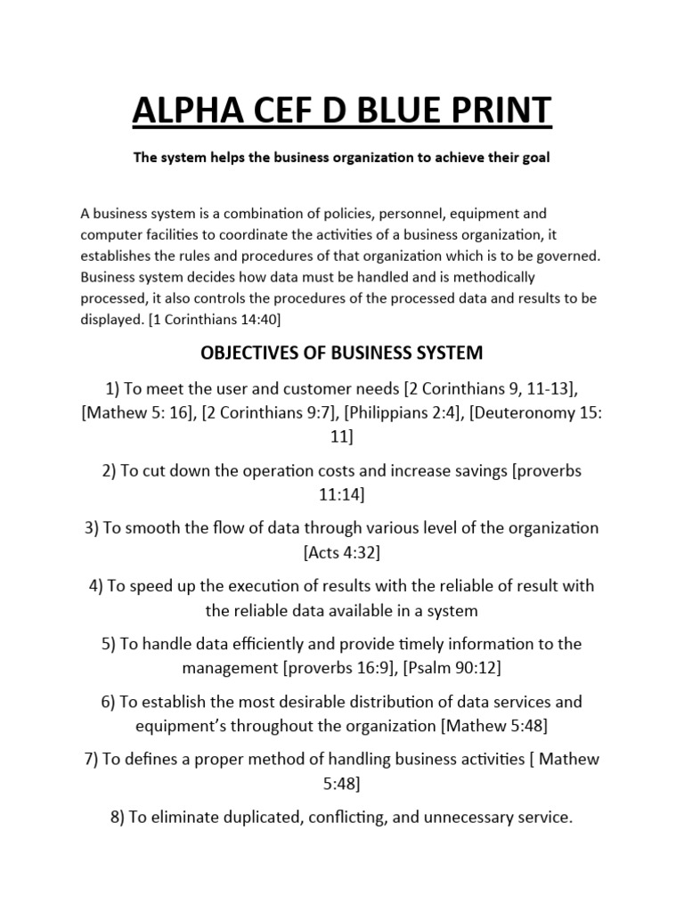 Business Plan Blue Print Sample | PDF | Accounts Payable | Payroll