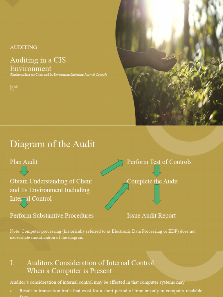 Auditing in A CIS Environment V1 | PDF | Internal Control | Audit