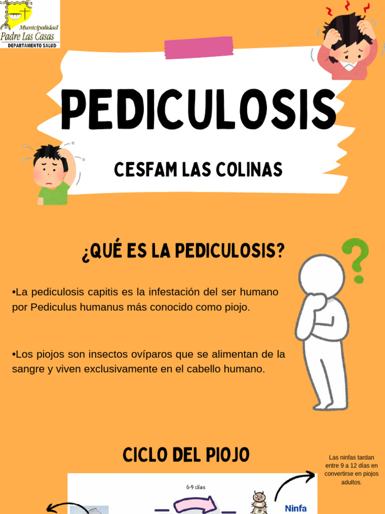 Prevención y Tratamiento de Pediculosis | PDF