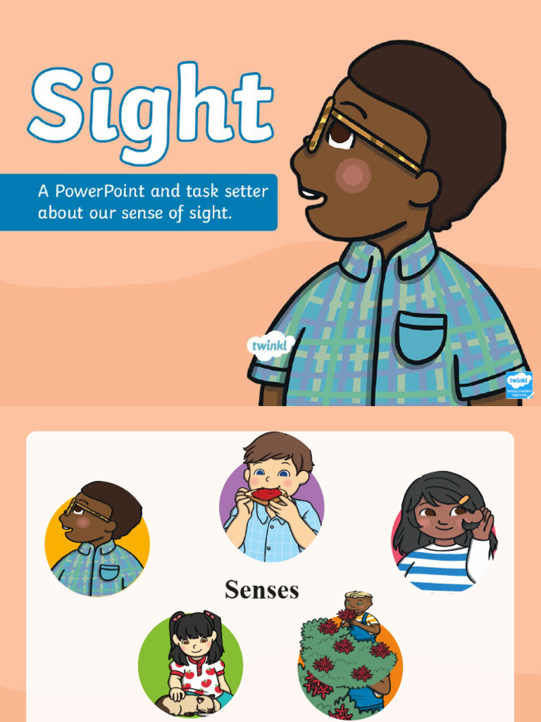 Science Senses Sight PowerPoint | PDF | Human Eye | Eye