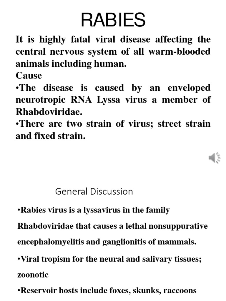 Rabies | PDF | Nervous System | Virus