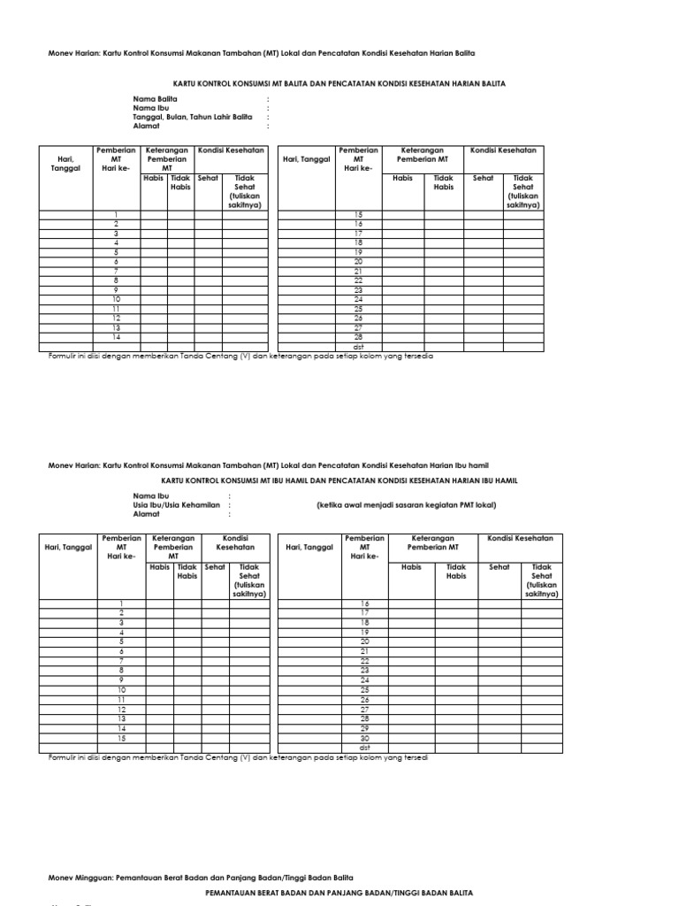 Format Monev PMT Lokal 2024 | PDF