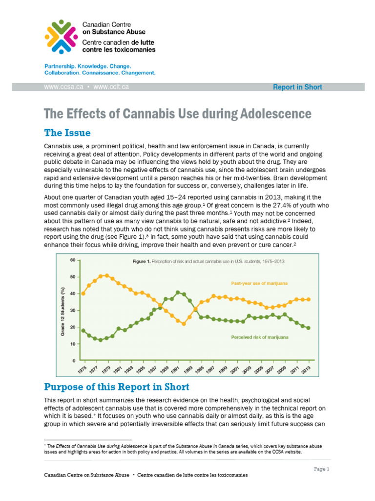 Adolescent Cannabis Use Effects Report | PDF | Cannabis (Drug ...