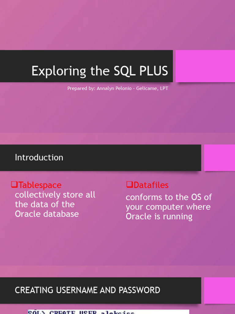 SQL Plus User Management Guide | PDF