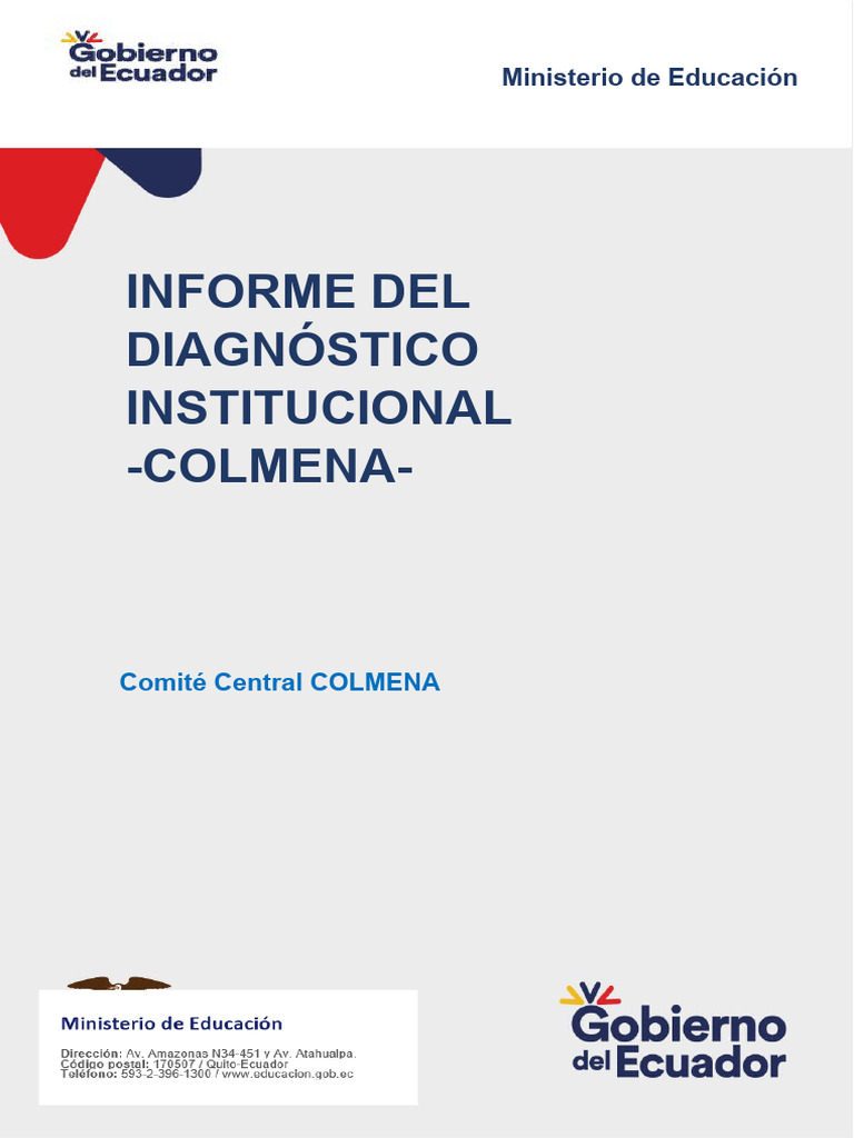 Modelo Informe Diagnostico Institucional | PDF | Enseñando