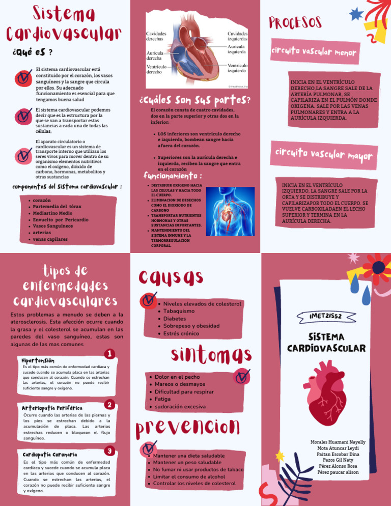 Tríptico Sistema Cardiovascular | Descargar gratis PDF | Sistema circulatorio | Corazón