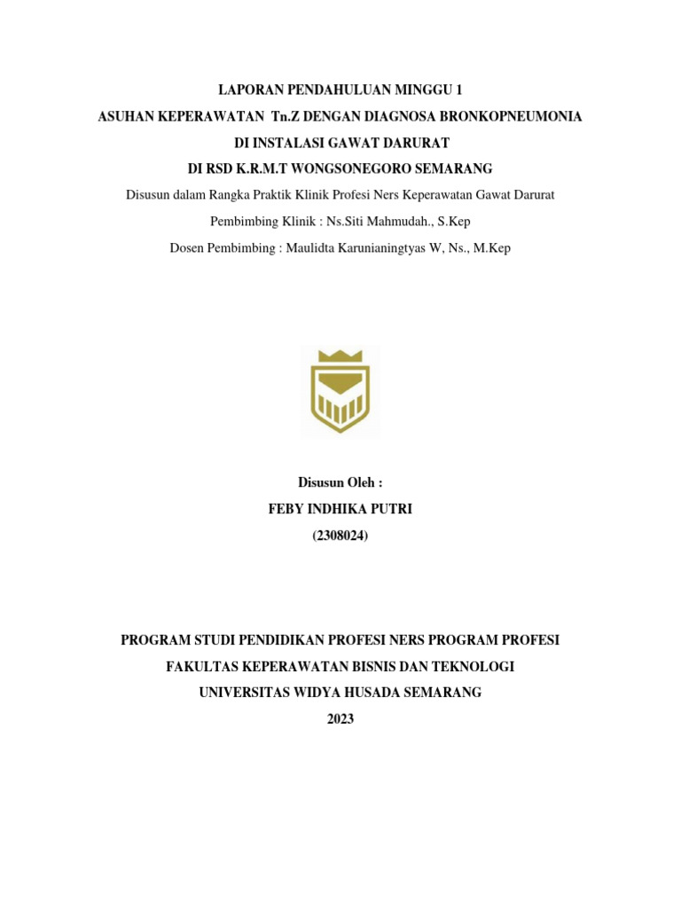 Laporan Pendahuluan BRPN Revisi Benar | PDF