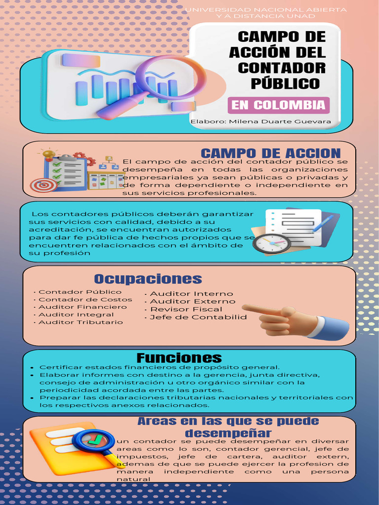 Infografia Campo Accion Contador Publico | PDF