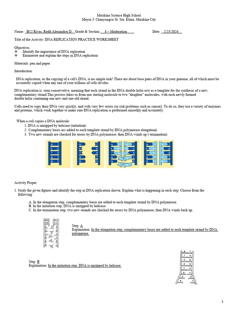 DNA Replication Practice Worksheet | PDF | Dna Replication | Dna