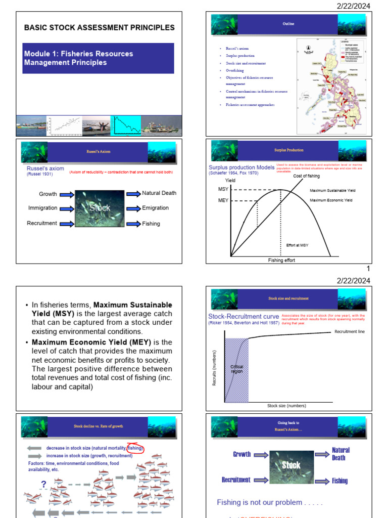 Basic Stock Assessment 1 | PDF | Overfishing | Oceanography