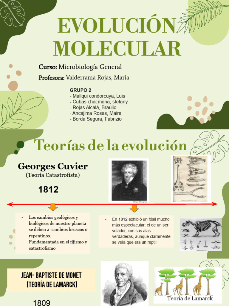 Evolución Molecular y Teorías Clave | PDF | Evolución | Seleccion natural