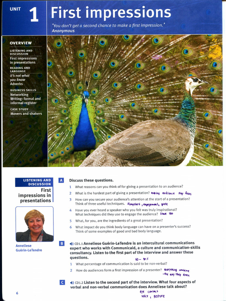 Audience Engagement Strategies | PDF
