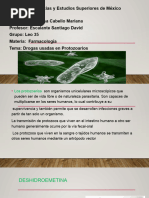 Amebax Inserto WEB | PDF | Ciencias de la Salud | Medicina CLINICA