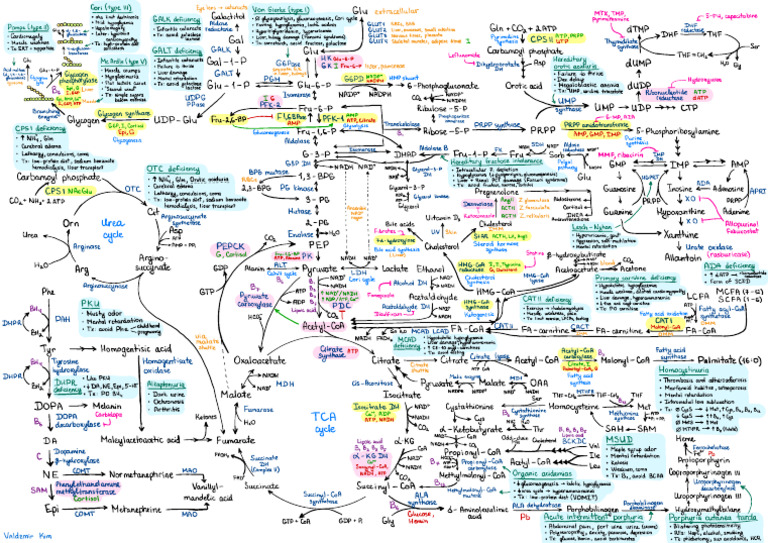 Biochemistry | PDF