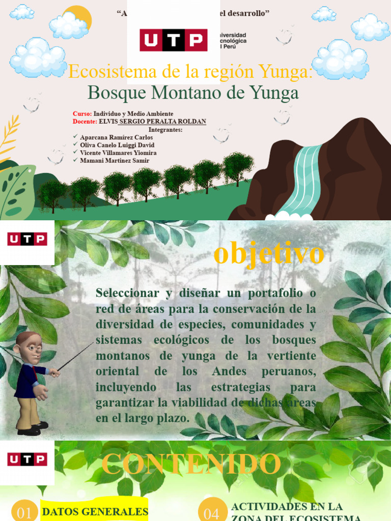 Bosque Montano de Yunga | Descargar gratis PDF | Los bosques | Ciencias ...