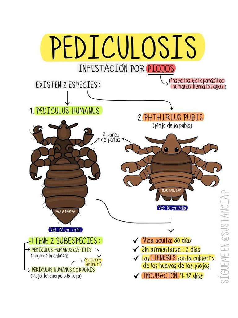 PEDICULOSIS | PDF