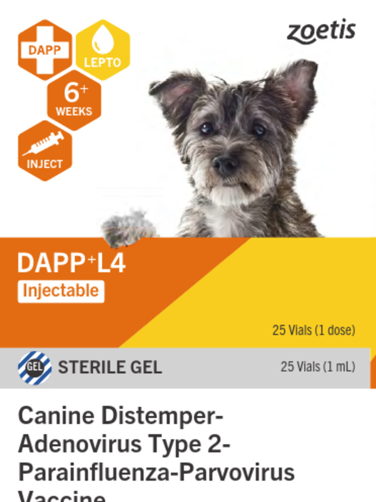 Vanguard DAPP L4 Product Insert | PDF | Vaccines | Pediatrics