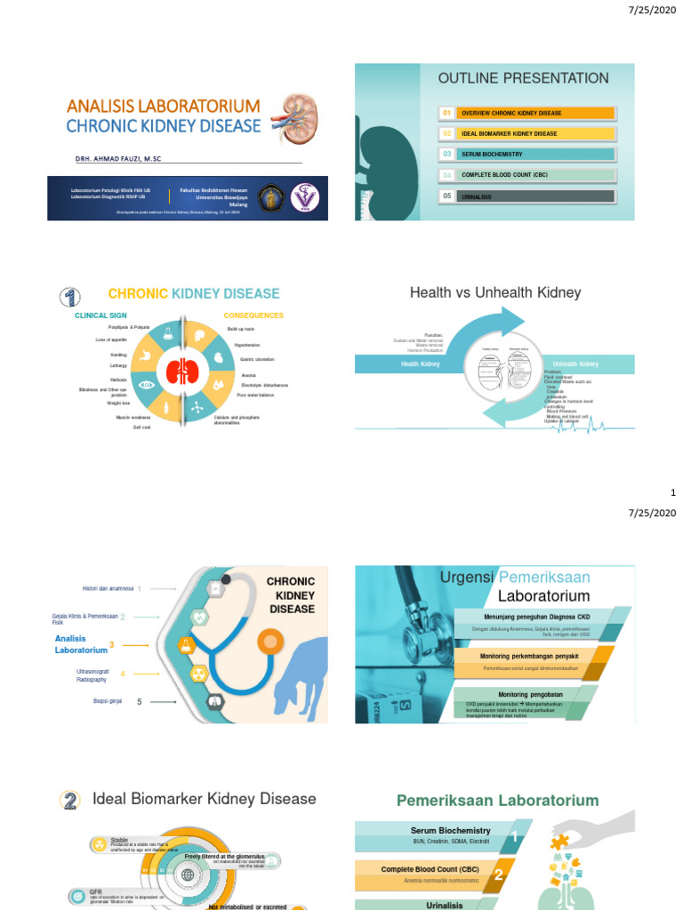 Veterinarians' Guide to CKD Analysis | PDF | Creatinine | Chronic ...