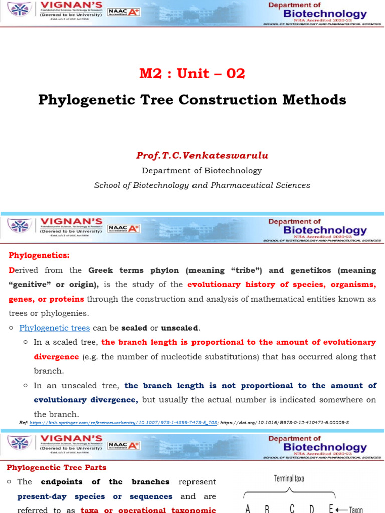 Module 2 Unit - 2 EVOLUTIONARY TREES AND PHYLOGENY | PDF | Phylogenetic Tree | Molecular ...
