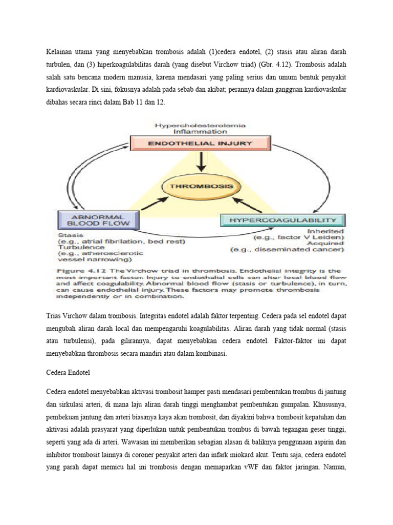 Kelainan Utama Yang Menyebabkan Trombosis Adalah | PDF