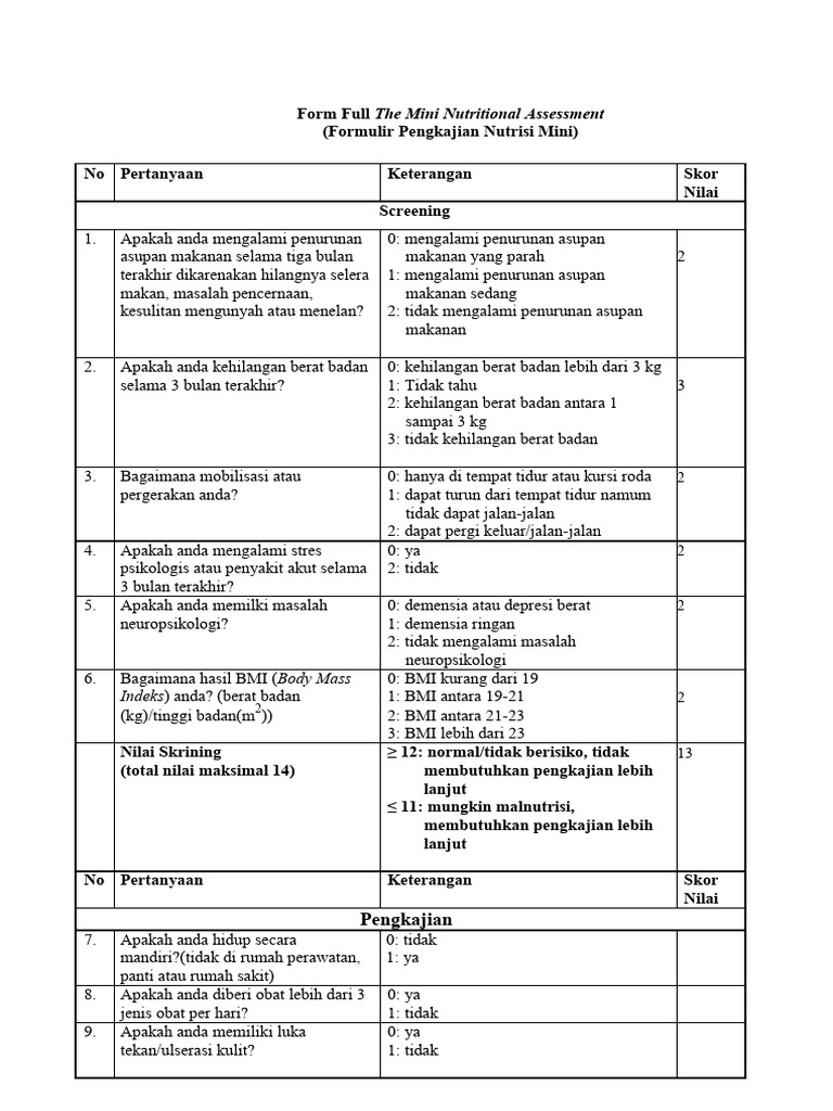Form Pengkajian Khusus Lansia New | PDF