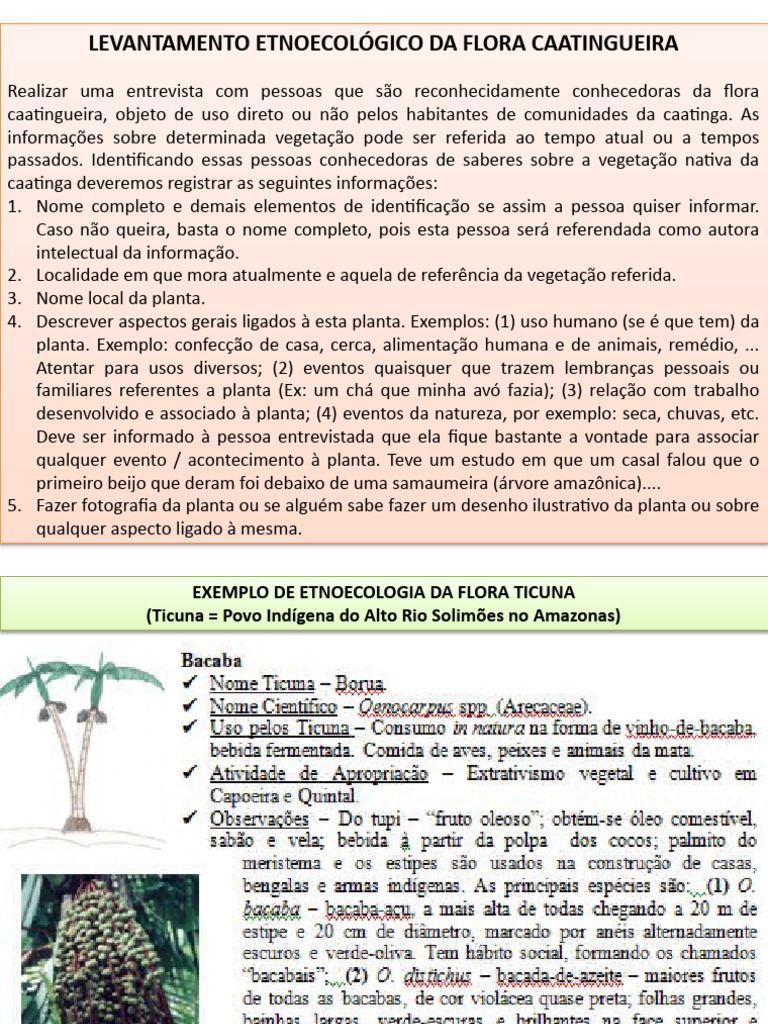 Etnoecologia Da Flora Caatingueira | PDF | Ciências Sociais | Casa e Jardim