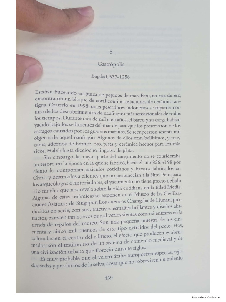 Capítulo 5 Libro Urbanismo | PDF