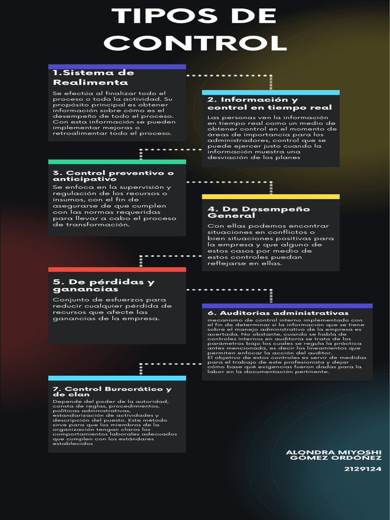 Infografia Tipos de Control | PDF | Auditoría | Business