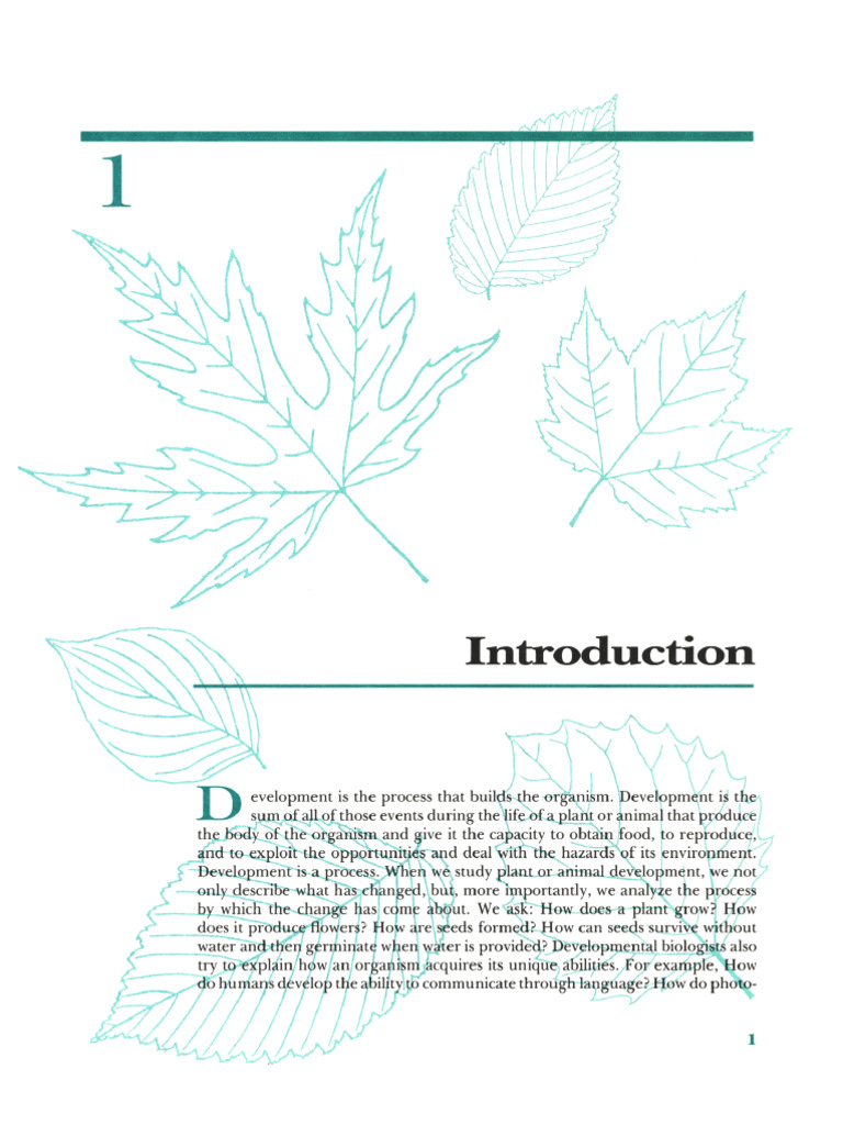 first-page-pdf | PDF