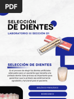 Tabla de Medidas para Dientes Permanentes | PDF | Anatomia dental | Diente