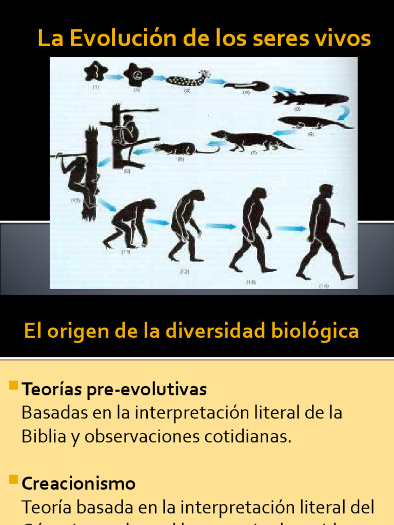 4 - Evolucion Lamarck y Darwin | PDF | Evolución | Seleccion natural