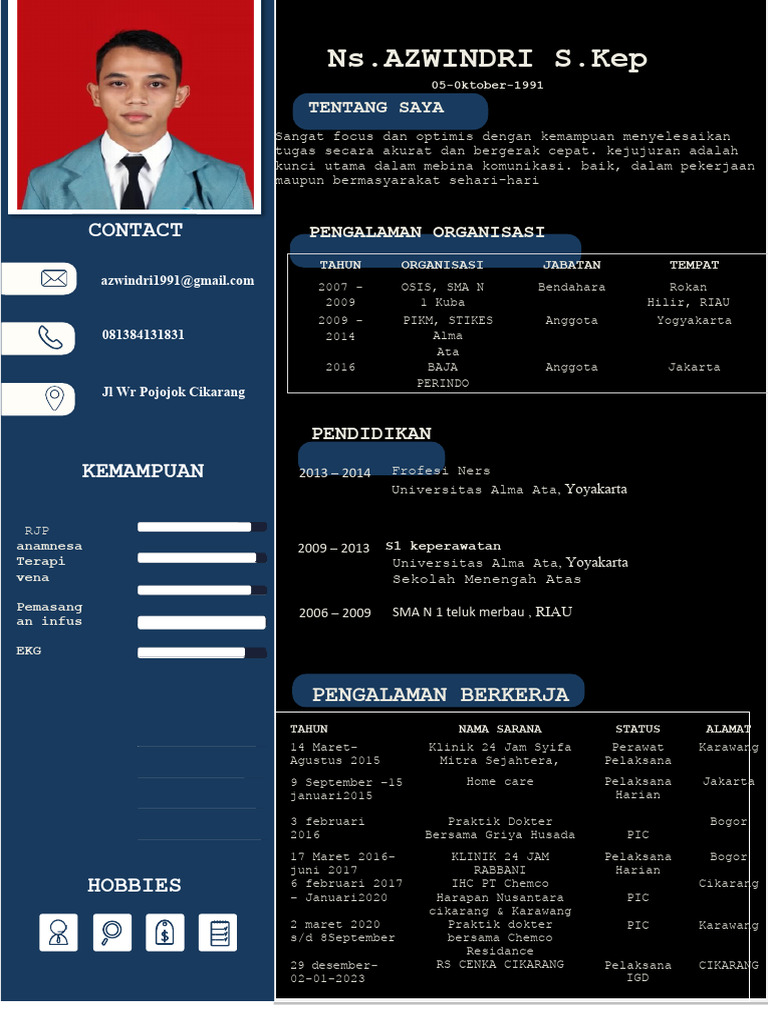 Professional Resume | PDF